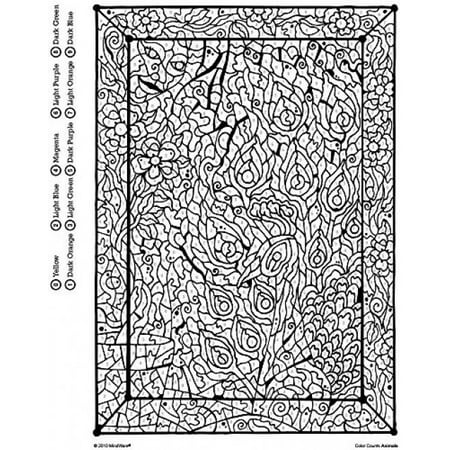 Color Counts: Animals - Walmart.com