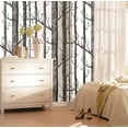 Birch Tree Peel and Stick Wallpaper for Wall Decoration, Waterproof ...