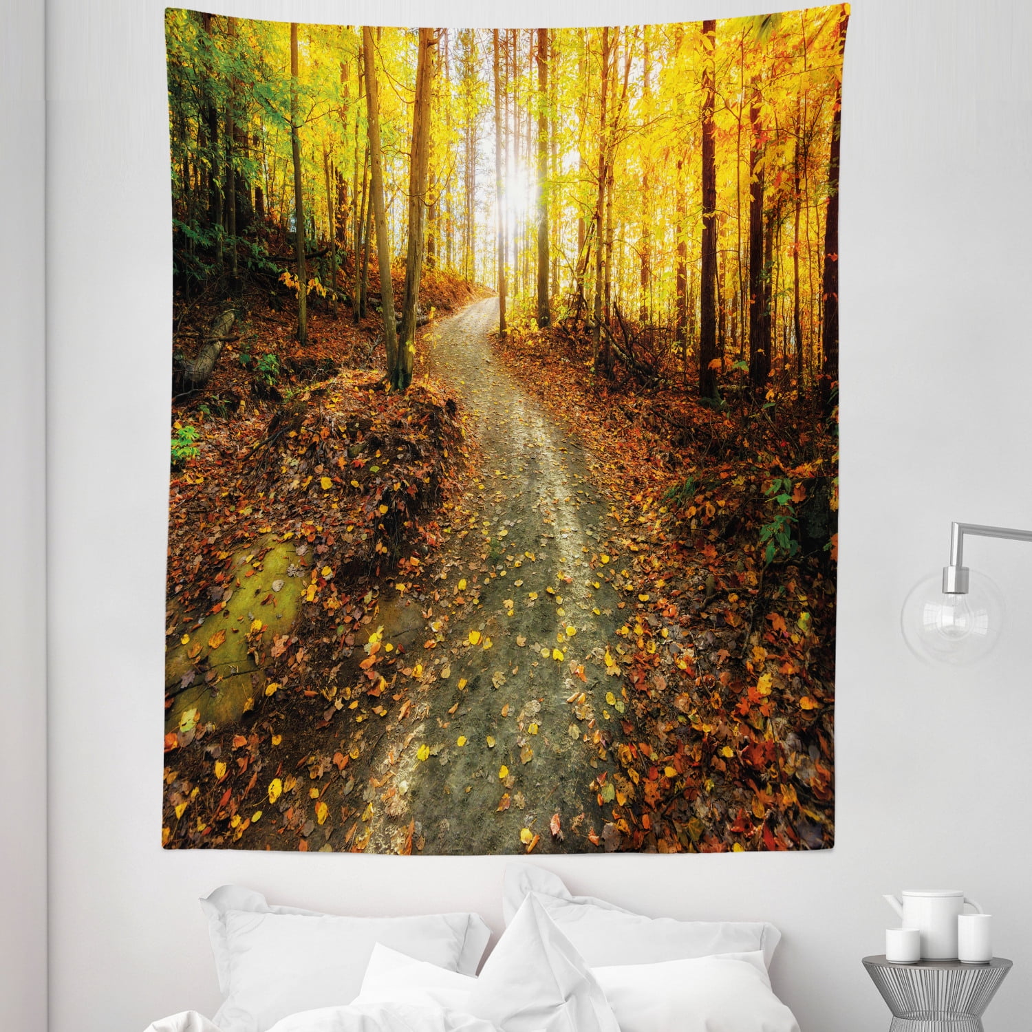 Fall Tapestry, Inspirational Early Morning View in the Woods with ...