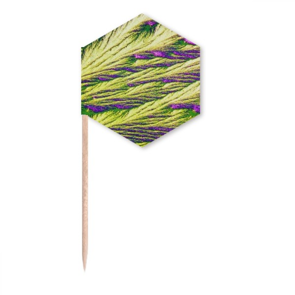 Reeds Cluster Feather Colour Wallpaper Toothpick Flags Cupcake Picks ...