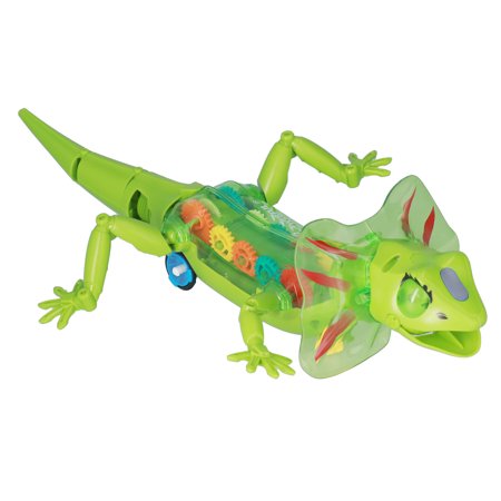 Walking Lizard Model, Vivid Tansparent Back Detachable Walking Lizard ...