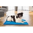 Pawple Dog Cooling Mat, Pet Pad for Travel, Foam Base 32" x 22" Pet Bed ...