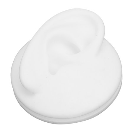 Simulation Human Ear Model, Display Tools Simulation Human Ear Ear ...