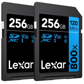 256 GB Memory Cards