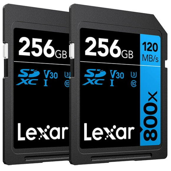 256 GB Memory Cards