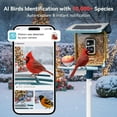 Bird Feeder with Camera, Support 2.4GHz/5GHz, 2K Live Steam for Outdoor ...