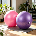 BESTSKY 2026 New Mini Exercise Barre Ball for Yoga, Pilates, Stability ...
