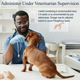 Rx Vitamins for Pets Phos-Bind for Dogs & Cats - Supports Normal ...