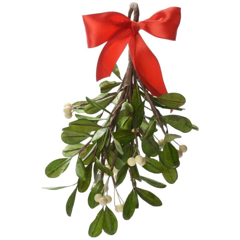 Hanging Mistletoe Png