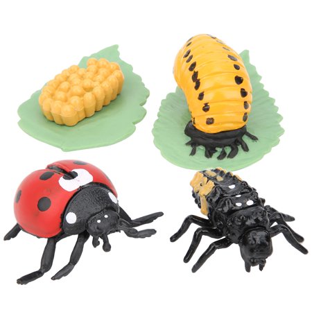 Ladybug Model Toy, Safe Simulation Model, Model Toy, Odorless Home For ...