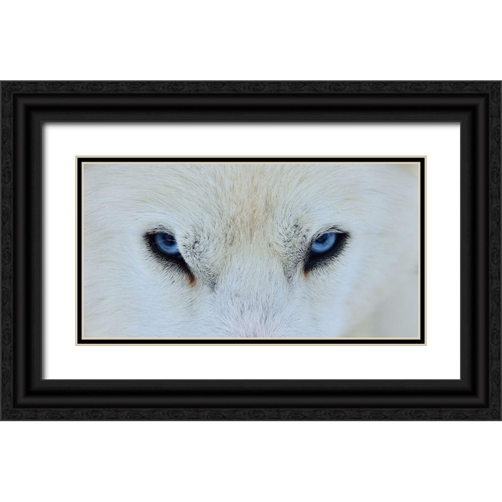 Angel Artus, Miquel 32x19 Black Ornate Wood Framed with Double Matting ...