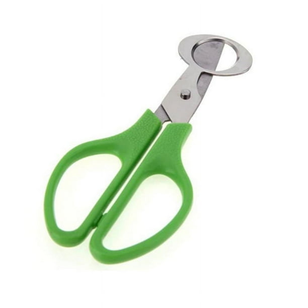 Quail egg scissors, bird egg scissors, stainless steel egg cutter, egg ...