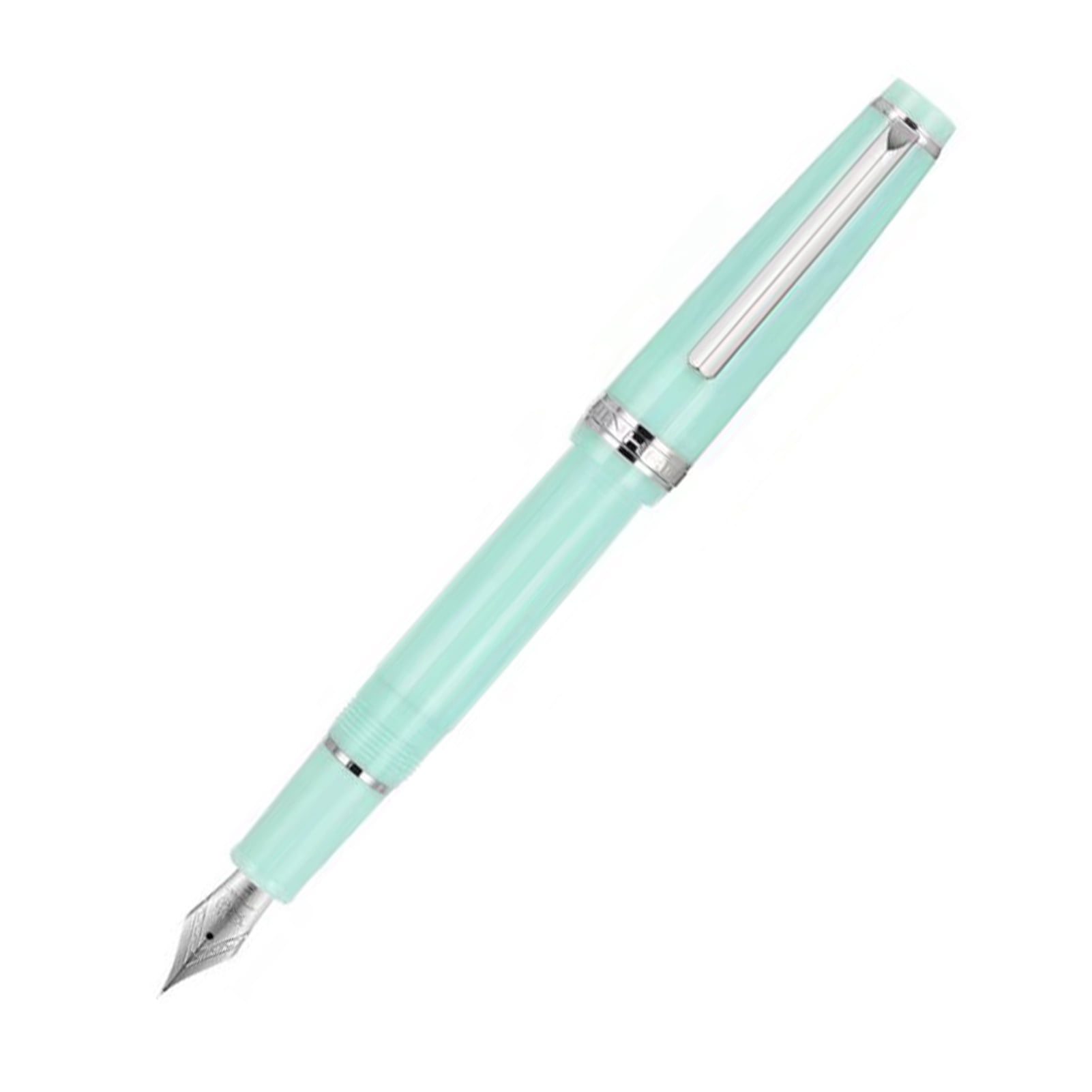 Hesroicy Pocket Size 0.5mm Fountain Pen - Business Writing Pen with Ink ...