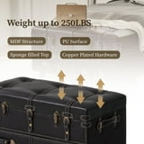 COZAYH Vintage Large Storage Trunk, Matte Black Chest Cabinet with ...