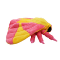 Realistic Rosy Maple Moth Stuffed Animal Plush Toy, Lifelike Animal ...