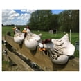 Chicken Fence Decoration,Funny Farm Chickens Statues,Resin Fence ...