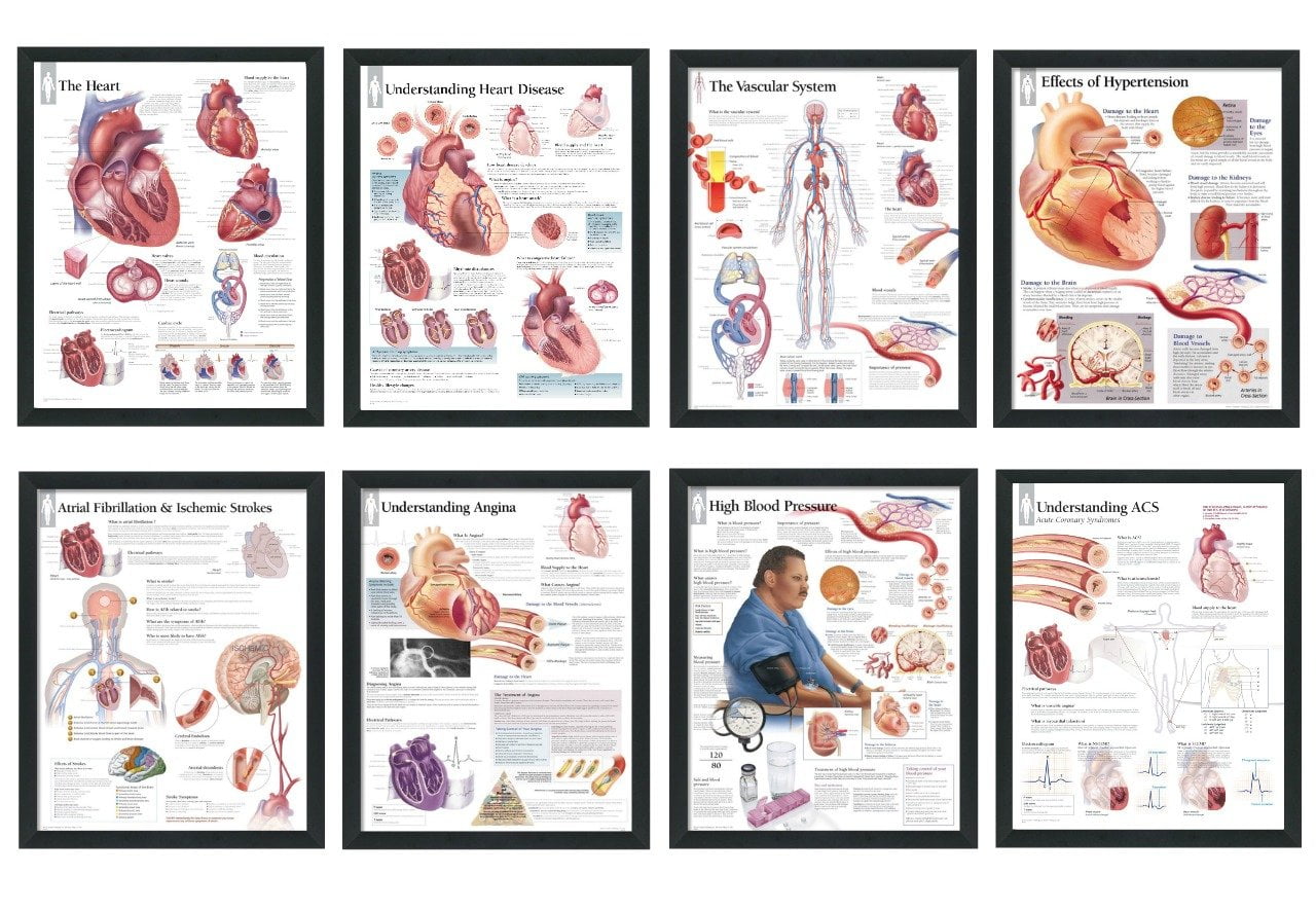 Set of 8 Framed Medical Posters The Heart; Heart Disease; Angina ...