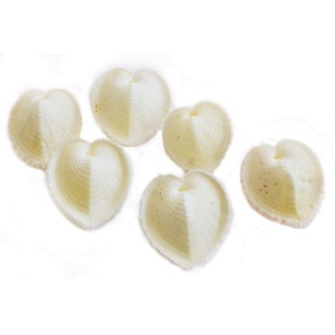 Set of 6 Heart Shaped White Scallop Shells (4") Beach Crafts Coastal ...
