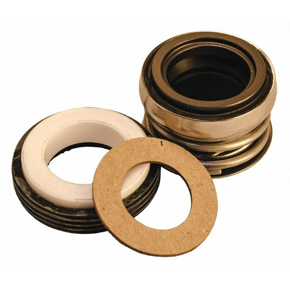 Sta Rite Pump Seal Kit