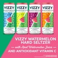 Vizzy Watermelon Hard Seltzer, Variety Pack, 12 Pack, 12 fl oz Aluminum ...
