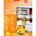 Dual-Head Electric Orange Juicer Squeezer, Citrus Juicer Machines with ...