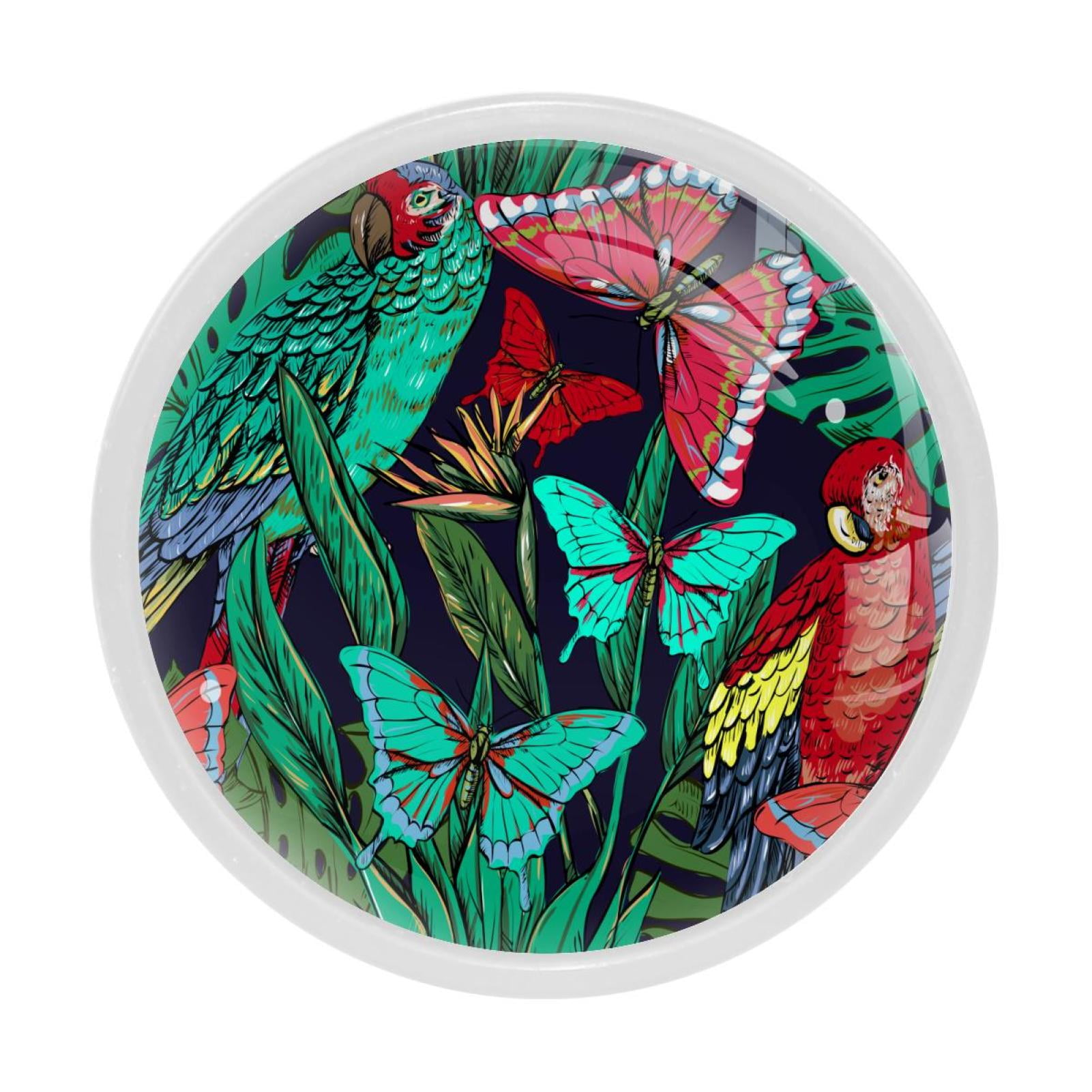 4 Pcs Parrot Knobs for Kitchen Cabinet Cupboard Dresser Bookcase Drawer ...