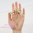 Blarkrus Dried Flowers 2.36 in-5.91, Long-Lasting Preserved Flowers for ...