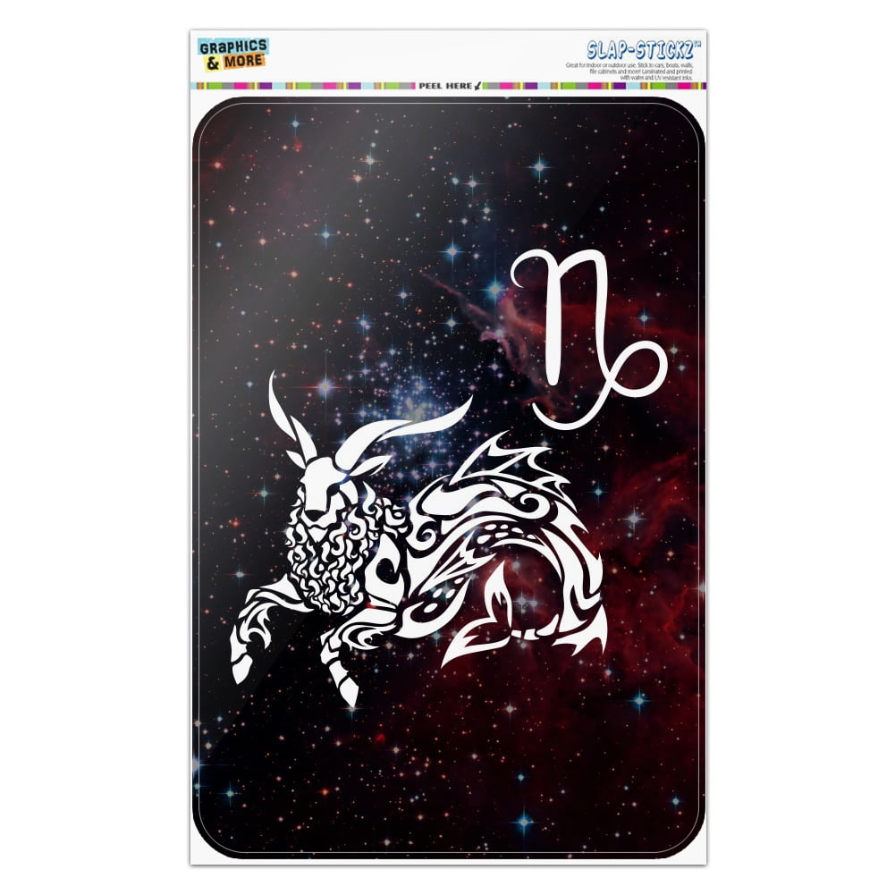 Capricorn Fish Goat Zodiac Sign Horoscope in Space Home Business Office ...