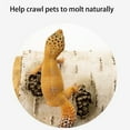 Bearded Dragon Hide Cave Safe Gecko Hides Artificial Birch Log for ...