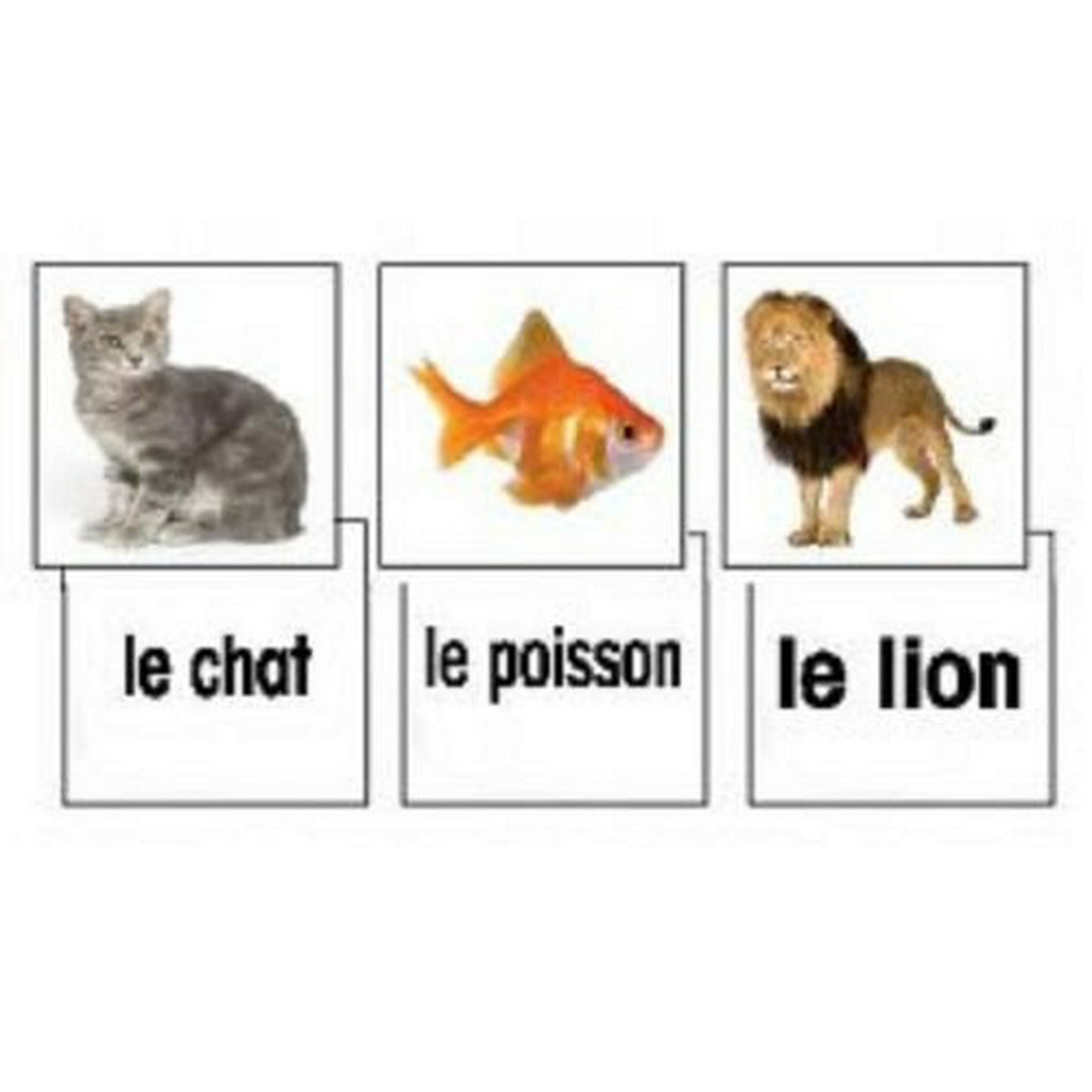Click here for Poster Pals French Most Common Animals Flashcards prices