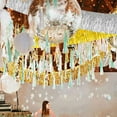 CHENjy Foil Fringe Garland Champagne Wall Hanging Banners Reusable ...