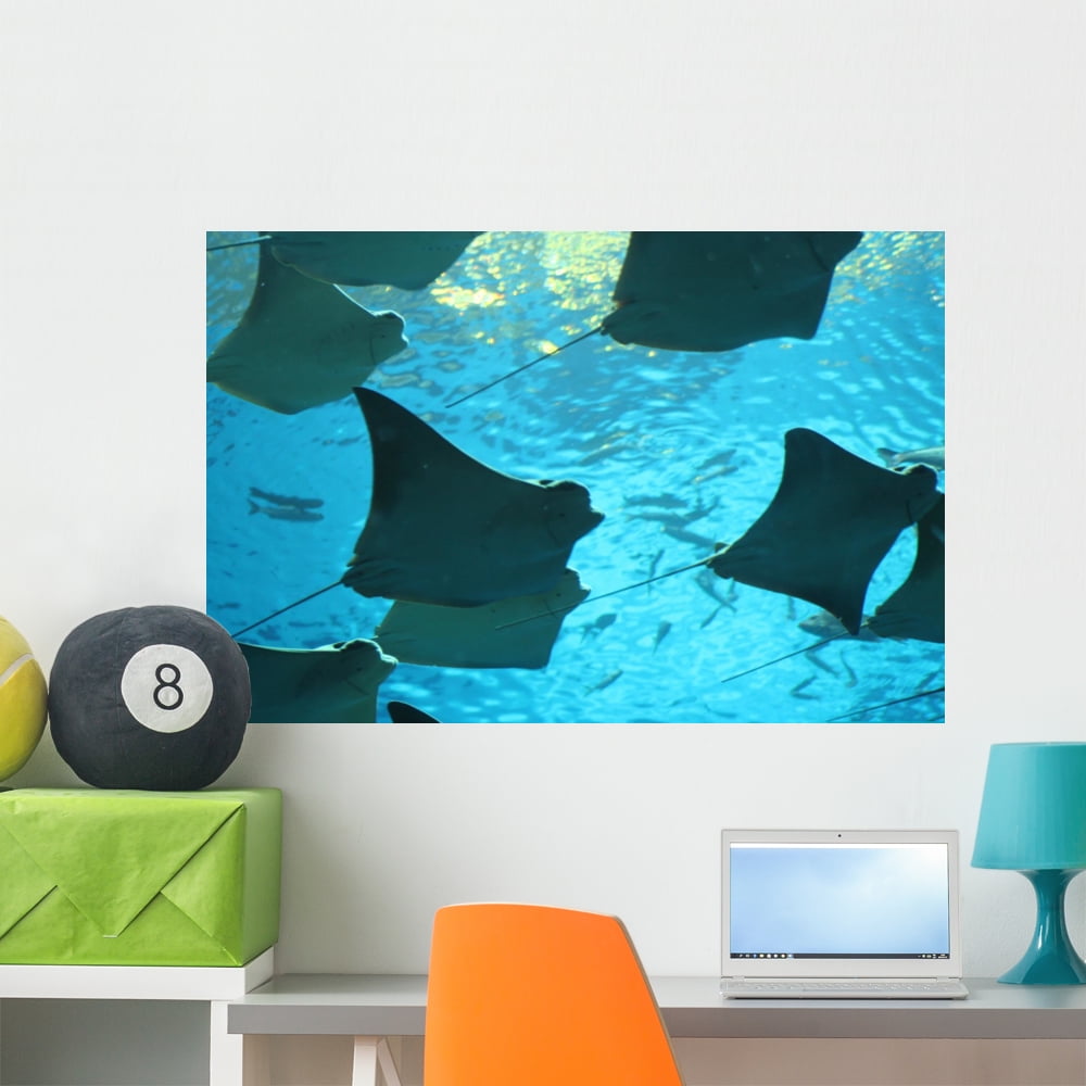Stingray Wall Mural by Wallmonkeys Peel and Stick Graphic (36 in W x 24 ...