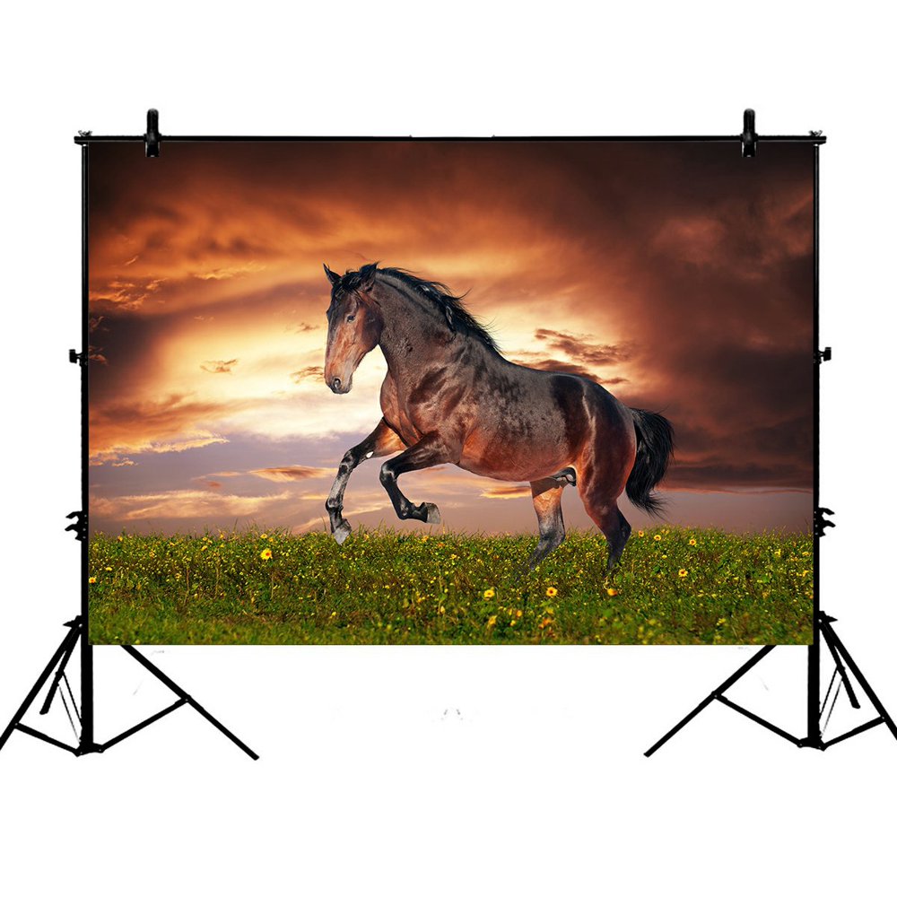 PHFZK 7x5ft Wild Animal Art Backdrops, Beautiful Brown Horse Running ...