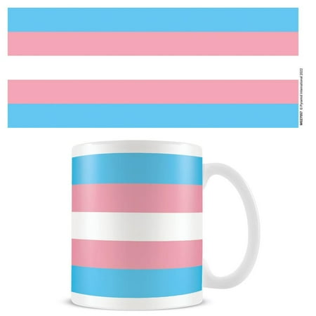 Pyramid International Transgender Flag Mug | Walmart Canada