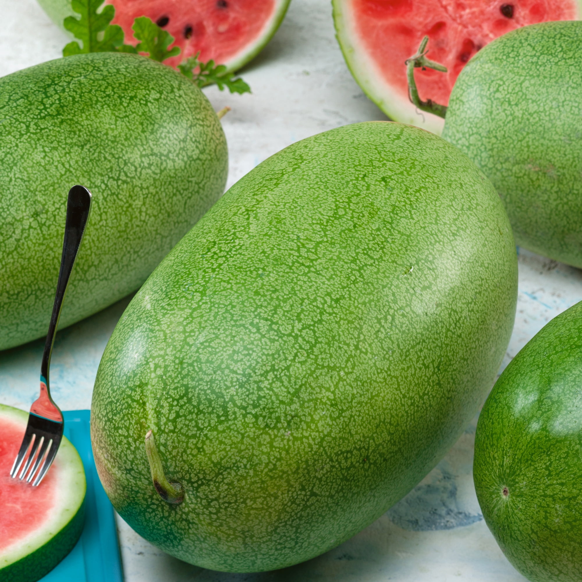 Sweet Princess Watermelon Seeds - 1 Lb ~6400 Seeds - Non-GMO, Heirloom ...