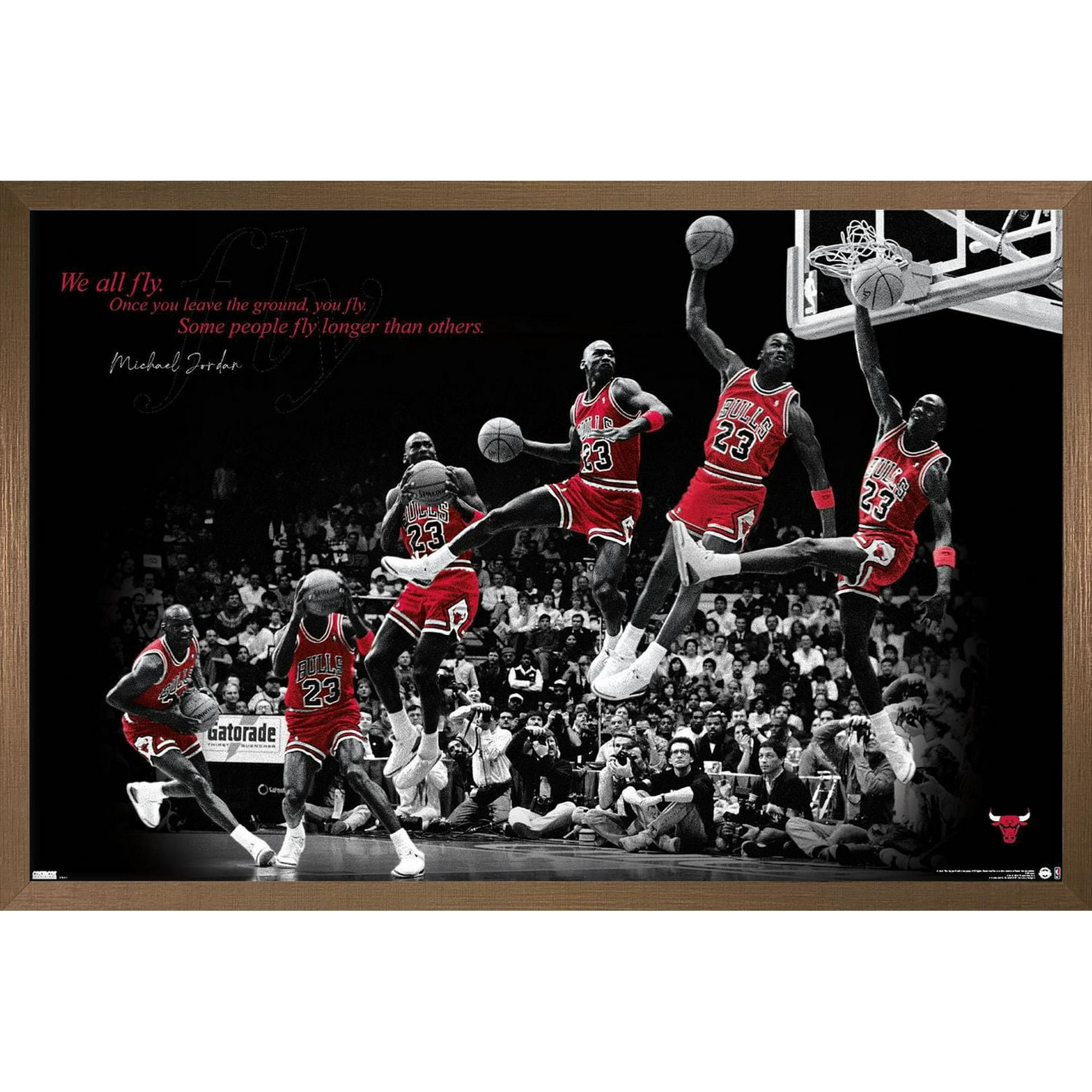Click here for Trends International Michael Jordan - Fly Wall Pos... prices