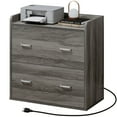 Dextrus 2 Drawer File Cabinet with Charging Station, Wood Lateral ...
