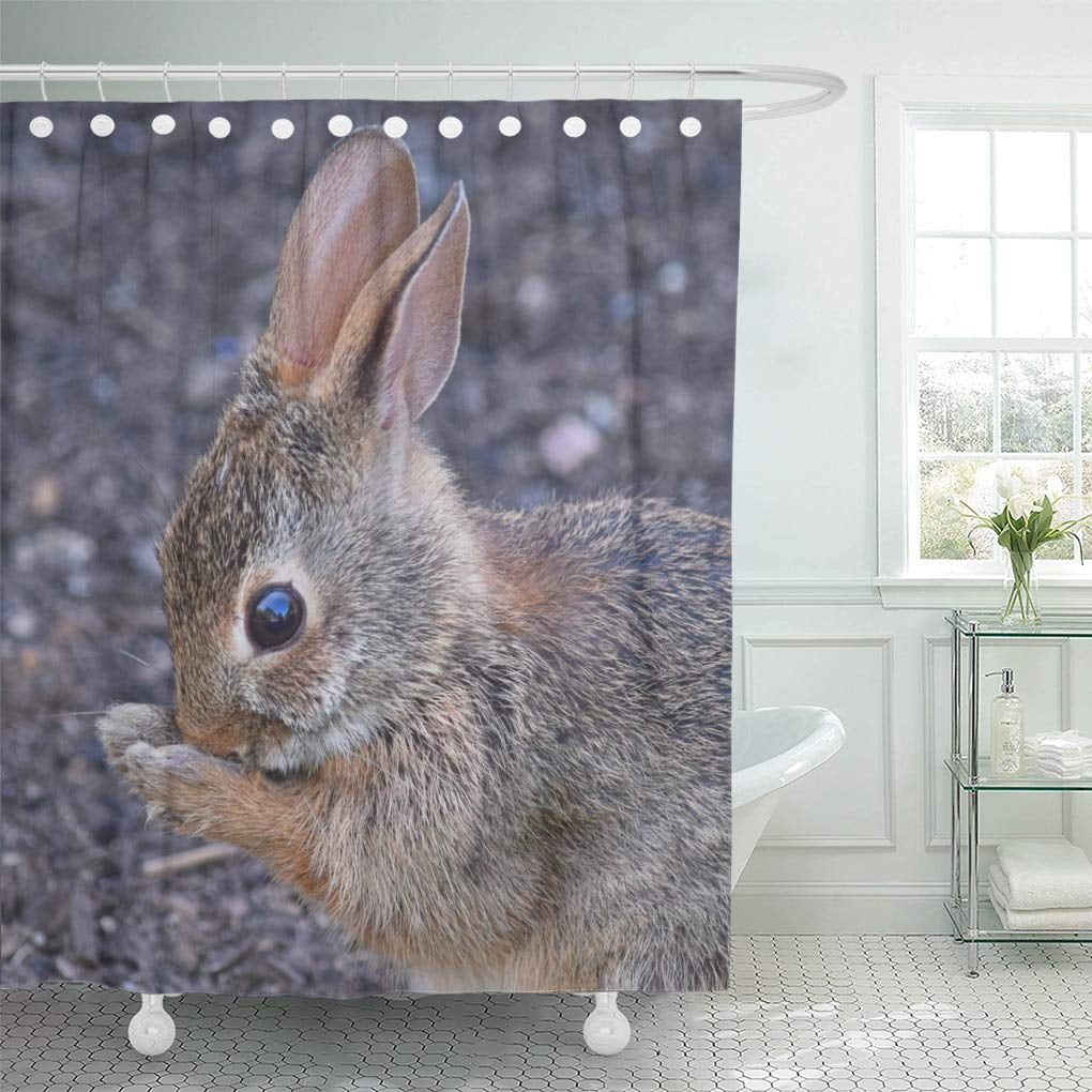 CYNLON Brown New England Cottontail Rabbit Green Baby Backyard Bunny ...