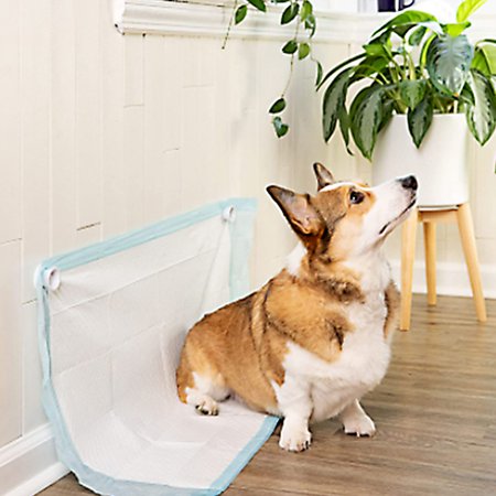 Tongliya 2 Pack Dog Pee Pad Holder Urine Pad Holder Pet Urine Pad ...