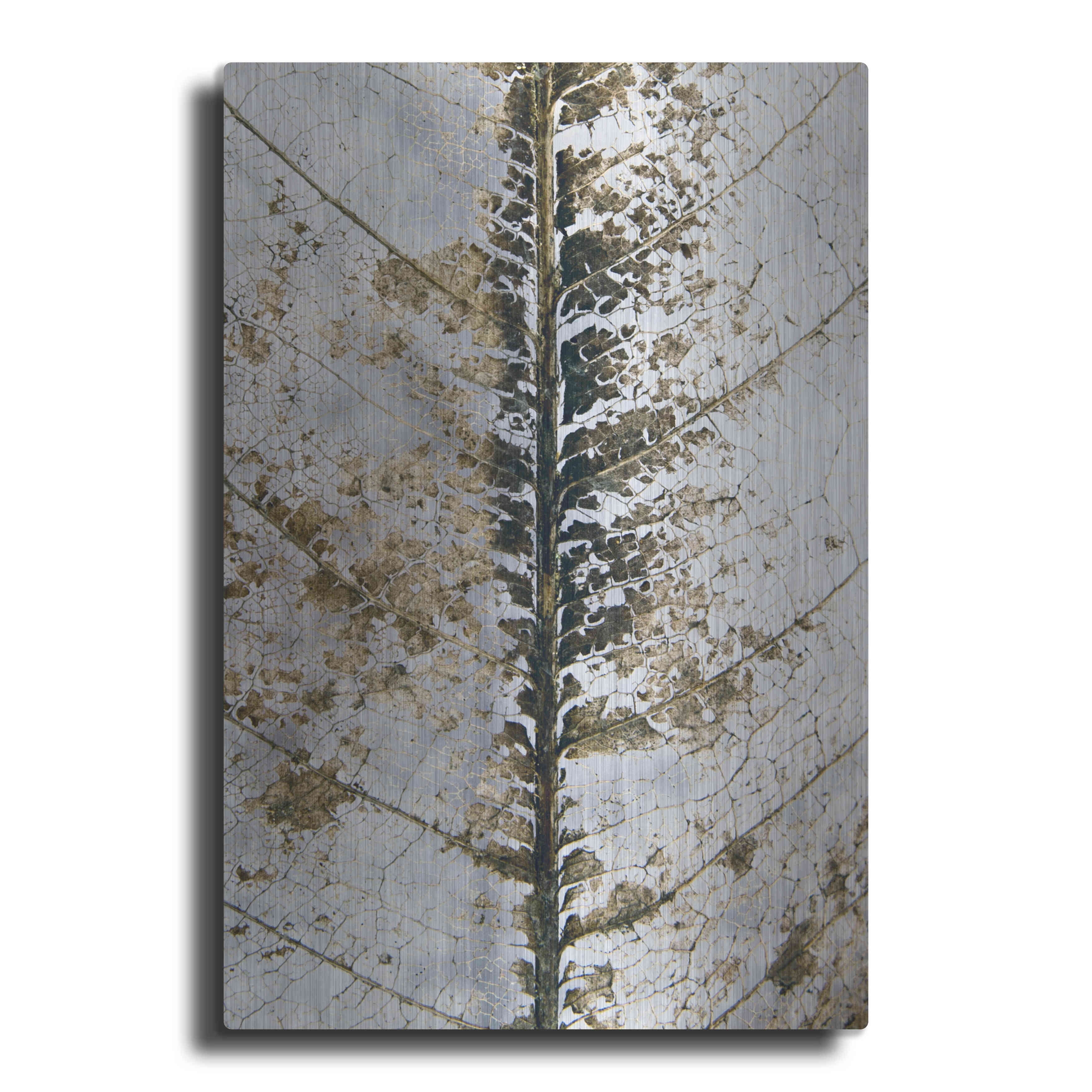 Luxe Metal Art 'Close Up' by Design Fabrikken, Metal Wall Art, 12"x16 ...