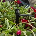 Orbit Irrigation Micro-Bubbler Sprinkler on 6" Stake with 1/4 in ...