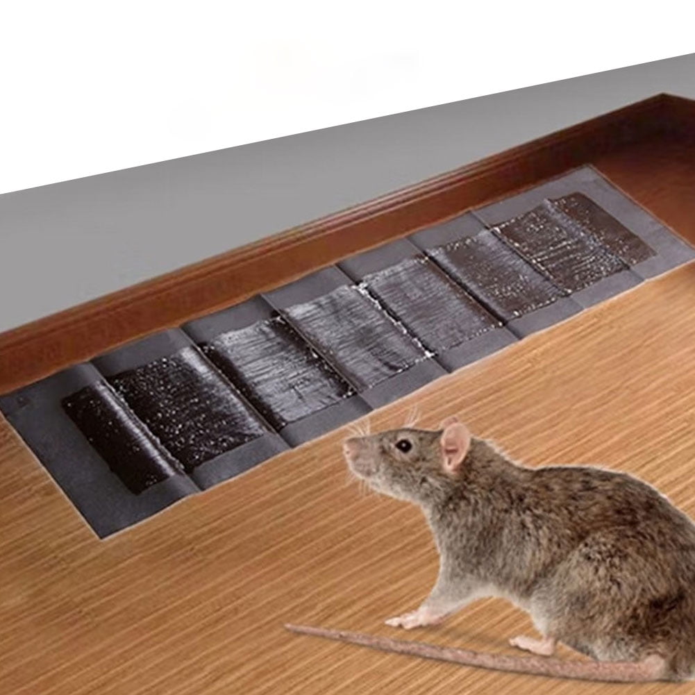 Ratón 1 trampas de pegamento Tablero de pegajosidad mejorada para ...
