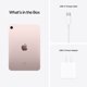2021 Apple iPad Mini Wi-Fi 64GB - Pink (6th Generation) - Walmart.com