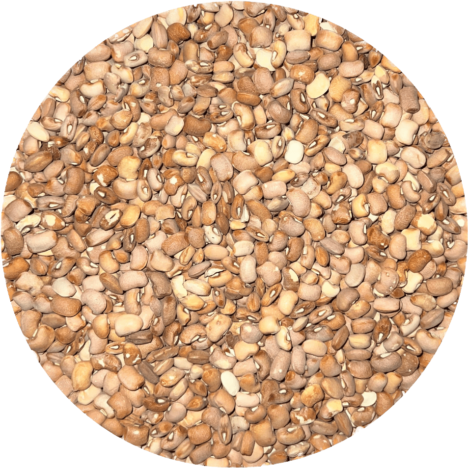 Ashar Honey (Oloyin) Beans 10lbs - Walmart.com