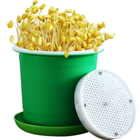 Home Kitchen Seed Sprouter Bean Sprouts Maker Growing Hydroponic ...