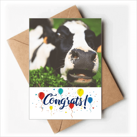 Pcture m Animal Cow Wedding Cards Congratulations Greeting Envelopes ...