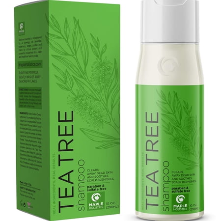 Maple Holistics Sulfate Free Clarifying Shampoo with Tea Tree Oil for ...