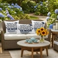 Blue Grey Graduation Season Outdoor Pillow Covers 24x24 Inch Throw ...