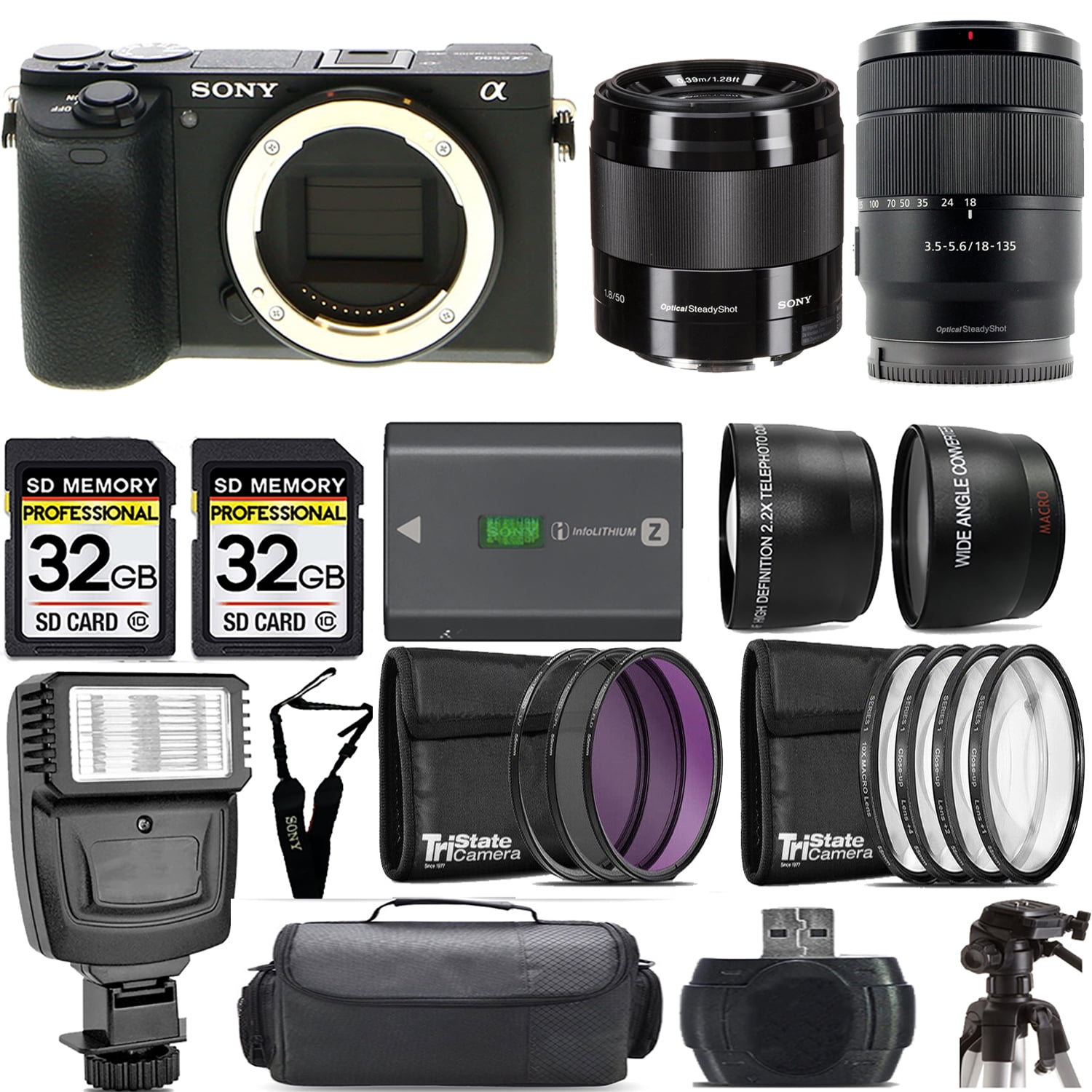 Sony a6600 Mirrorless Camera with 18-135mm Lens +50mm f/1.8 OSS Lens ...
