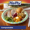 Hefty Compostable Printed Paper Plates, 10 Inch, 20 Count - Walmart.com